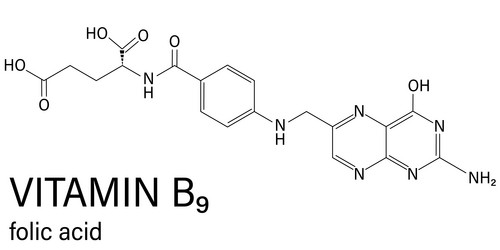 Vitamin B9 Structure