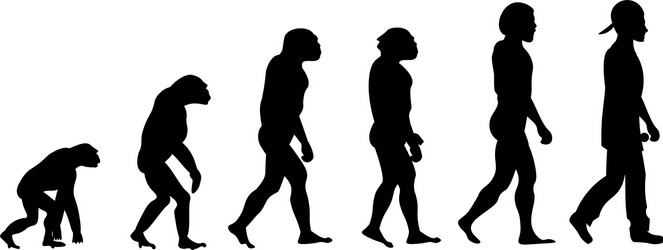 Theatre building isolated on white background Vector Image