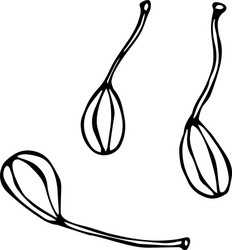 Cartoon capers doodle style design Royalty Free Vector Image