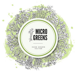 Engraved microgreens round labels set hand Vector Image