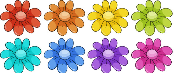 Isolated set flower in four colors Royalty Free Vector Image
