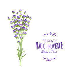 Lavender flower logo design text hand drawn Vector Image