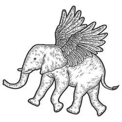 Elephant Angel Vector Images (over 170)