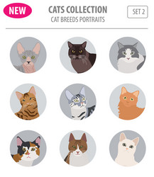 Cat breeds icon set flat style isolated on white Vector Image