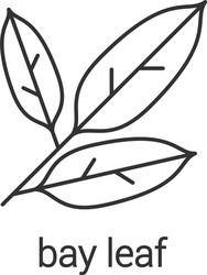 Bay Vector Images (over 14,000)