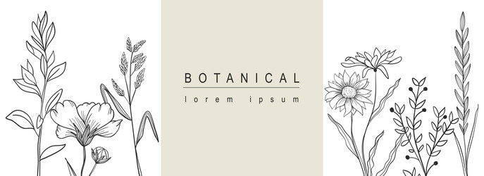 Botanical abstract background with floral line art