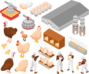 Poultry Farm Vector Images (over 25,000)