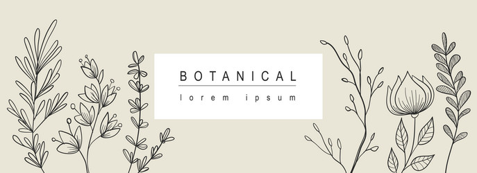 Botanical abstract background with floral line art