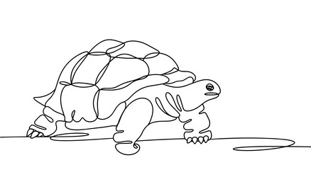 One Line Turtle Vector Images (over 200)