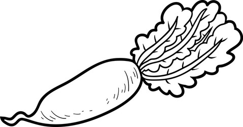 Coloring book vegetables daikon Royalty Free Vector Image