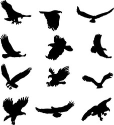 Philadelphia Eagles Vector Images (11)