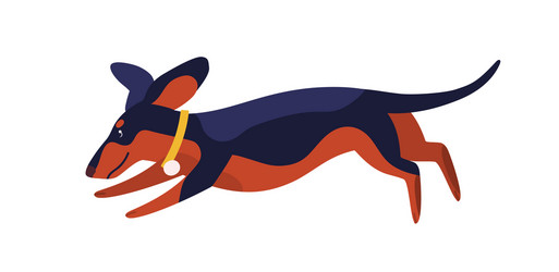 Dachshund Cartoon Vector Images (over 4,100)