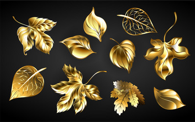 Golden autumn leaves Royalty Free Vector Image