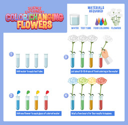 Color changing flowers science experiment Vector Image