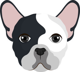 Square dog cartoon Royalty Free Vector Image - VectorStock