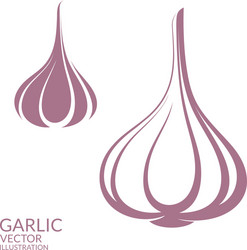 Garlic Royalty Free Vector Image - VectorStock