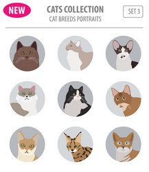 Cat breeds icon set flat style Royalty Free Vector Image