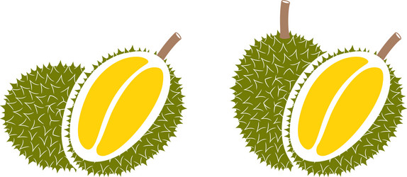 Durian Logo Vector Images (over 410)