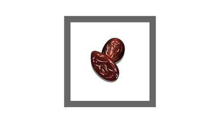 Arabic dates Royalty Free Vector Image - VectorStock