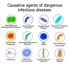 Viruses medical poster for viral and bacteriology Vector Image