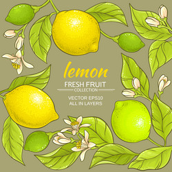 Lemon Vector Images (over 140,000)