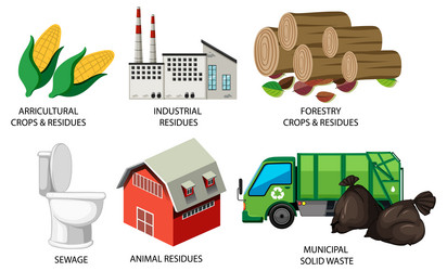 Many forms of biomass energy Royalty Free Vector Image