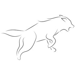 Flat hand drawn outline wolf Royalty Free Vector Image
