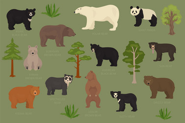 All world bear species in one set bears collection
