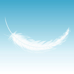 Falling Feather Vector Images (over 2,900)