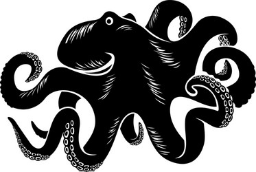 Octopus Vector Images (over 30,000)
