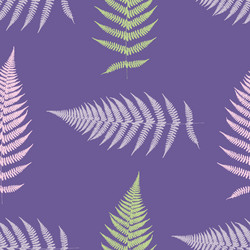 Silver Fern Vector Images (over 9,000)