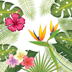 Tropical flower decorative frame Royalty Free Vector Image