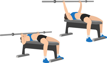 Woman doing dumbbell flat bench press exercise Vector Image