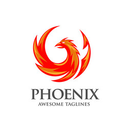 Phoenix circle collection Royalty Free Vector Image