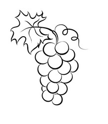 Line Drawing of Grapes Vector Images (over 2,700)