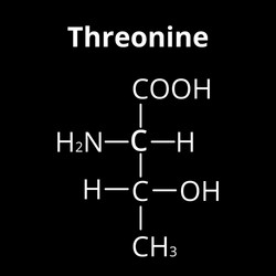 Threonine is an amino acid chemical molecular Vector Image