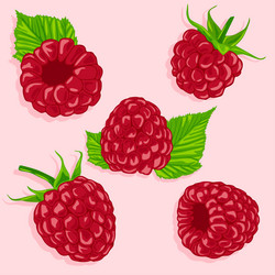 Raspberry Vector Images (over 29,000)