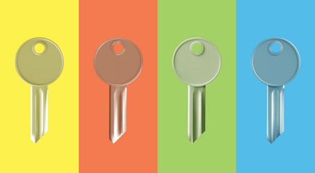 3d iron keys mockup set realistic silver Vector Image