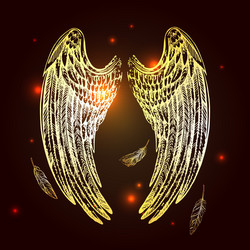 Bird Wing Vector Images (over 120,000)