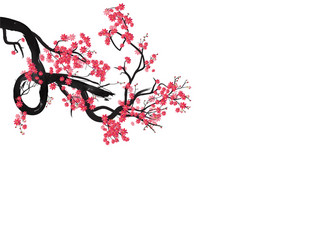 Sakura Watercolour Vector Images (over 210)