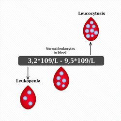 White blood cell count leukopenia leukocytosis Vector Image