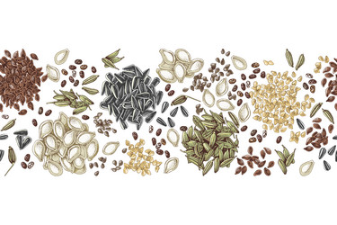 Edible seeds hand drawn seamless border Royalty Free Vector