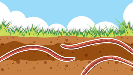 Large Animated Earthworm Clipart
