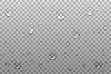 Rain on white transparent background realistic Vector Image