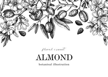 Almond Tree Drawing
