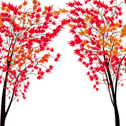 Autumn tree maple Royalty Free Vector Image - VectorStock