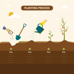 Seed Sprout Vector Images (over 16,000)
