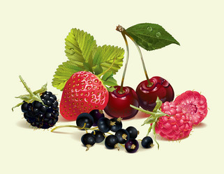 Berry mix composition Royalty Free Vector Image