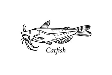 Catfish Vector Images (over 1,800)