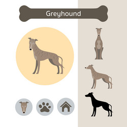 Greyhound Vector Images (over 1,500)